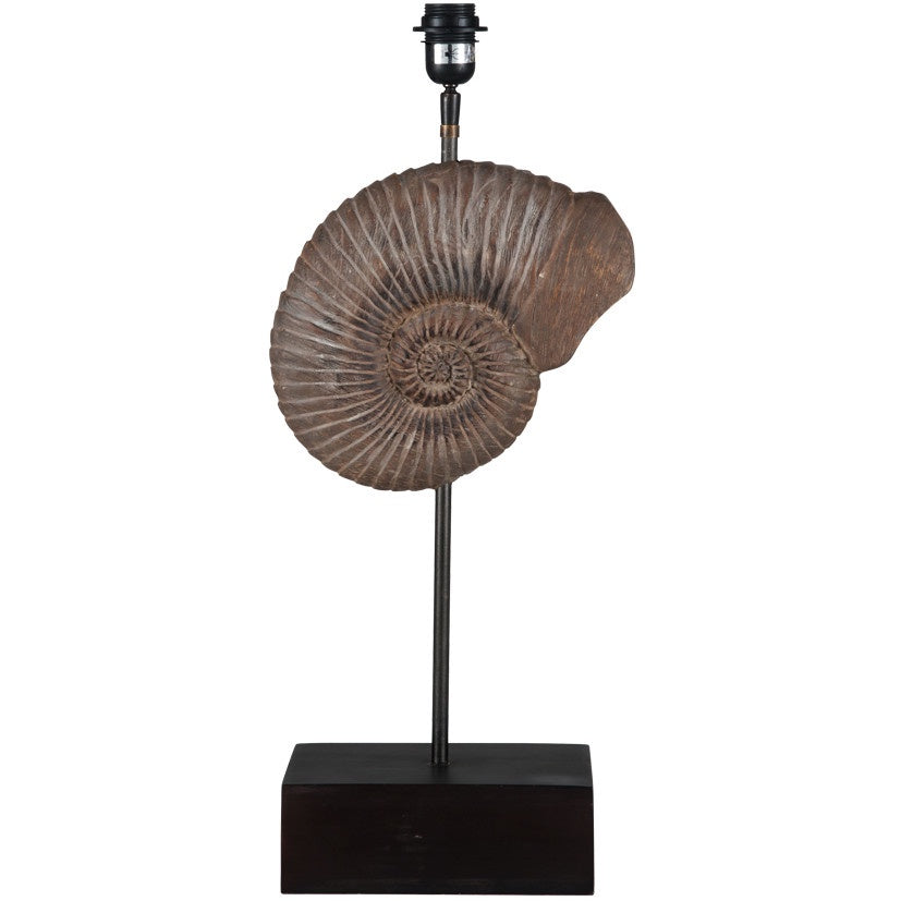 Buy Table Lamps/Shades Ireland - Sea Shell Table Lamp – Meadow Lane